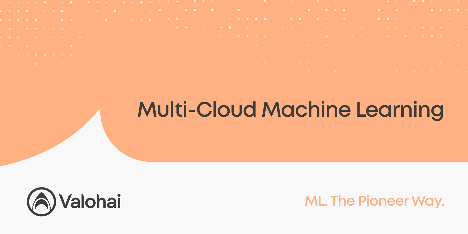 Multi-Cloud Machine Learning - Valohai
